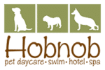 Dog Boarding - Doggy Day Care | Hobnob Pet Daycare & Hotel